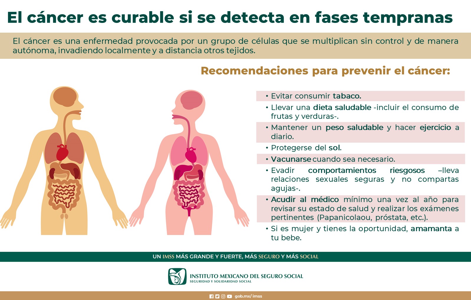 El cáncer es curable si se detecta en fases tempranas: IMSS Chihuahua – Entre Líneas