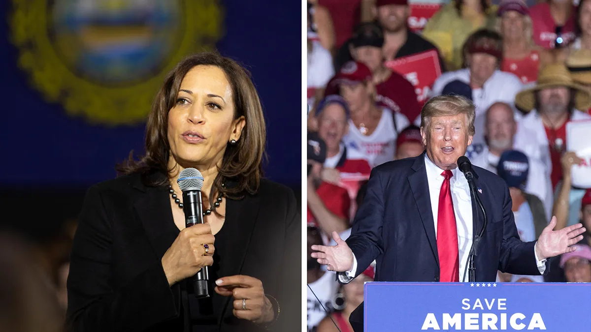 Esto es lo que prometen Kamala Harris y Donald Trump si ganan las elecciones en EE.UU. – Entre ...