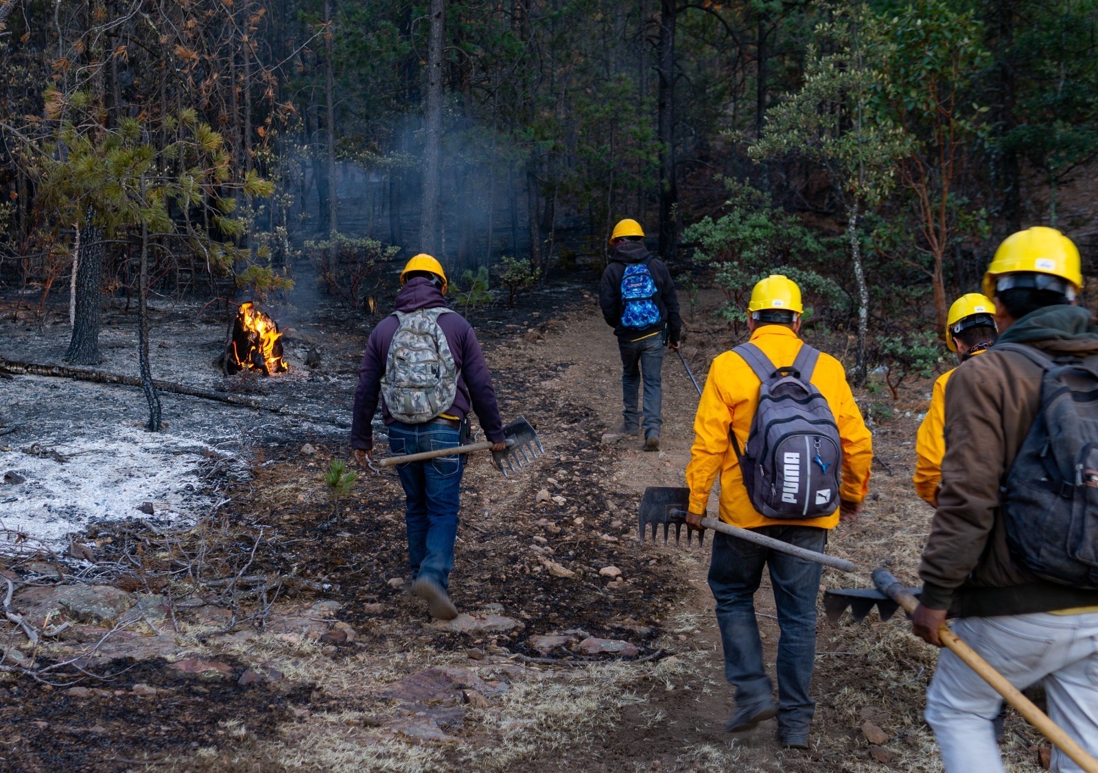 Realiza Brigada Alfa acciones de prevención de incendios forestales en el Cañón de Namurachi ...